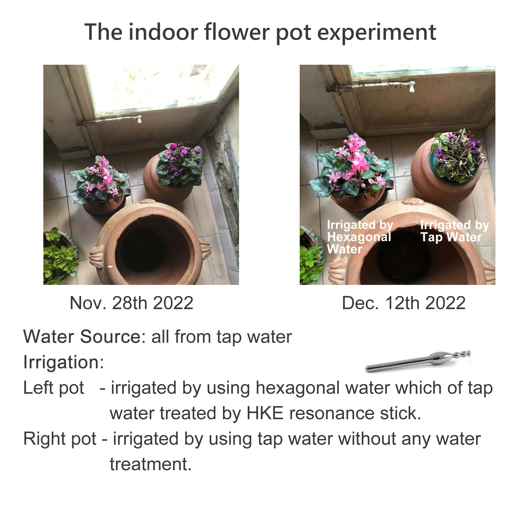 Professional Farms Ecosystem Equipment Hexagonal Water Generating Tube ...