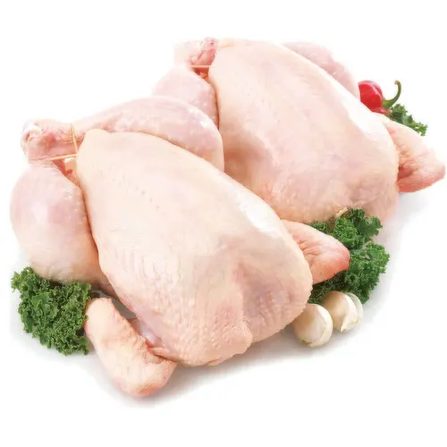 Halal Frozen Whole Chicken,Frozen Chicken Paws Frozen Processed Chicken ...