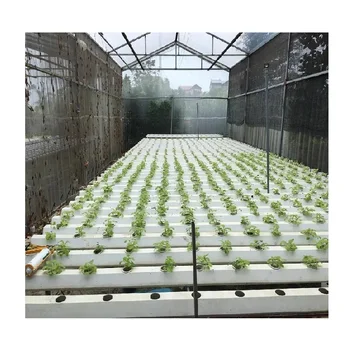New Green Pvc Balcony Hydroponic White Horizontal White Horizontal ...