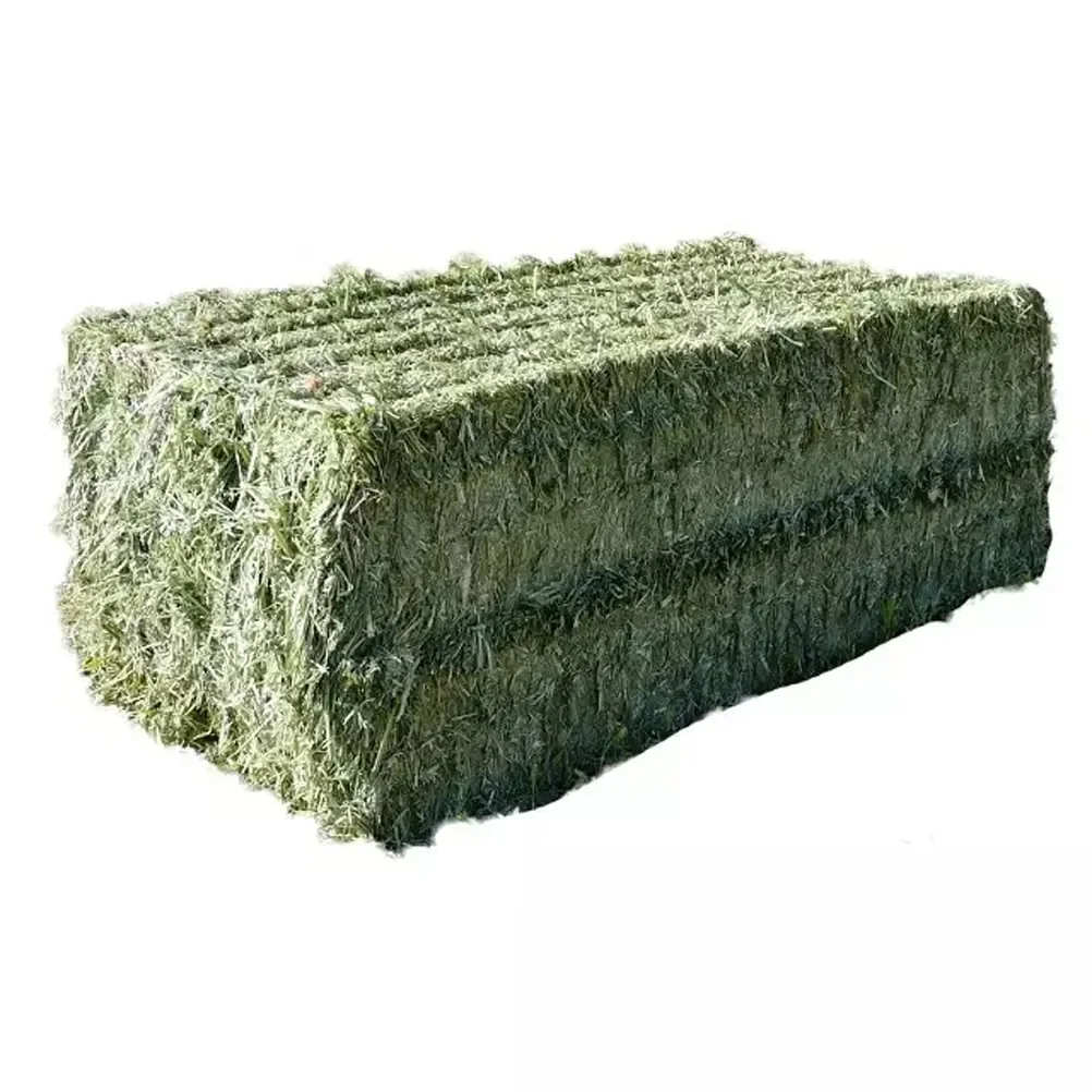 Economical Alfalfa Hay for Animal Feed - Fresh & Top Grade