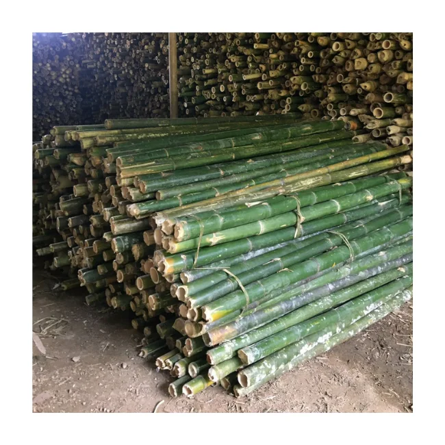 Natural Wholesale Bamboo Available For Indoor And Outdoor Plants Cheap ...
