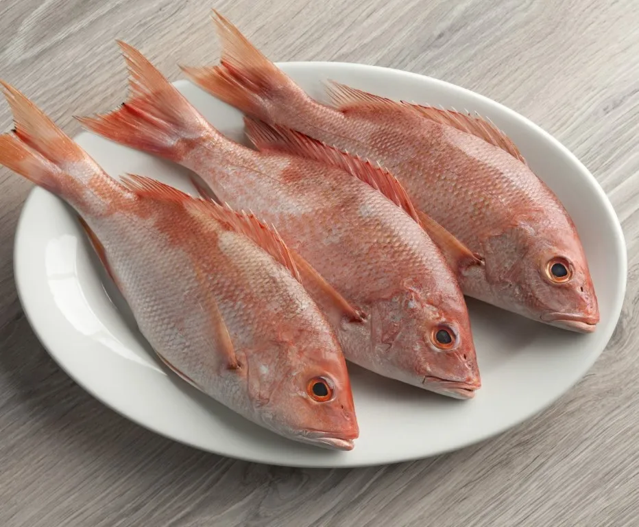 100% Seafood Fish Frozen Red Snapper/ Tilapia Fish Black Snapper Fish ...