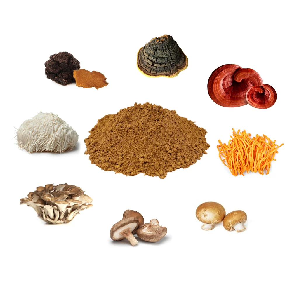 Wholesale Eight Mushroom Blend Mixed Extract Powder| Alibaba.com