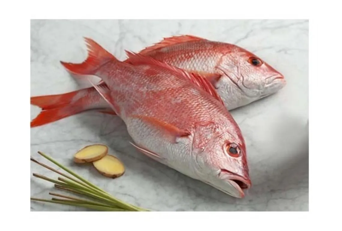 100% Organic Low-Salt Whole Frozen Red Snapper (Queen Snapper) Fish BQF ...