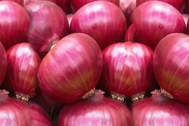 Premium Fresh Red Onion Origin Zimbabwe High-grade Non-gmo Red Onions ...