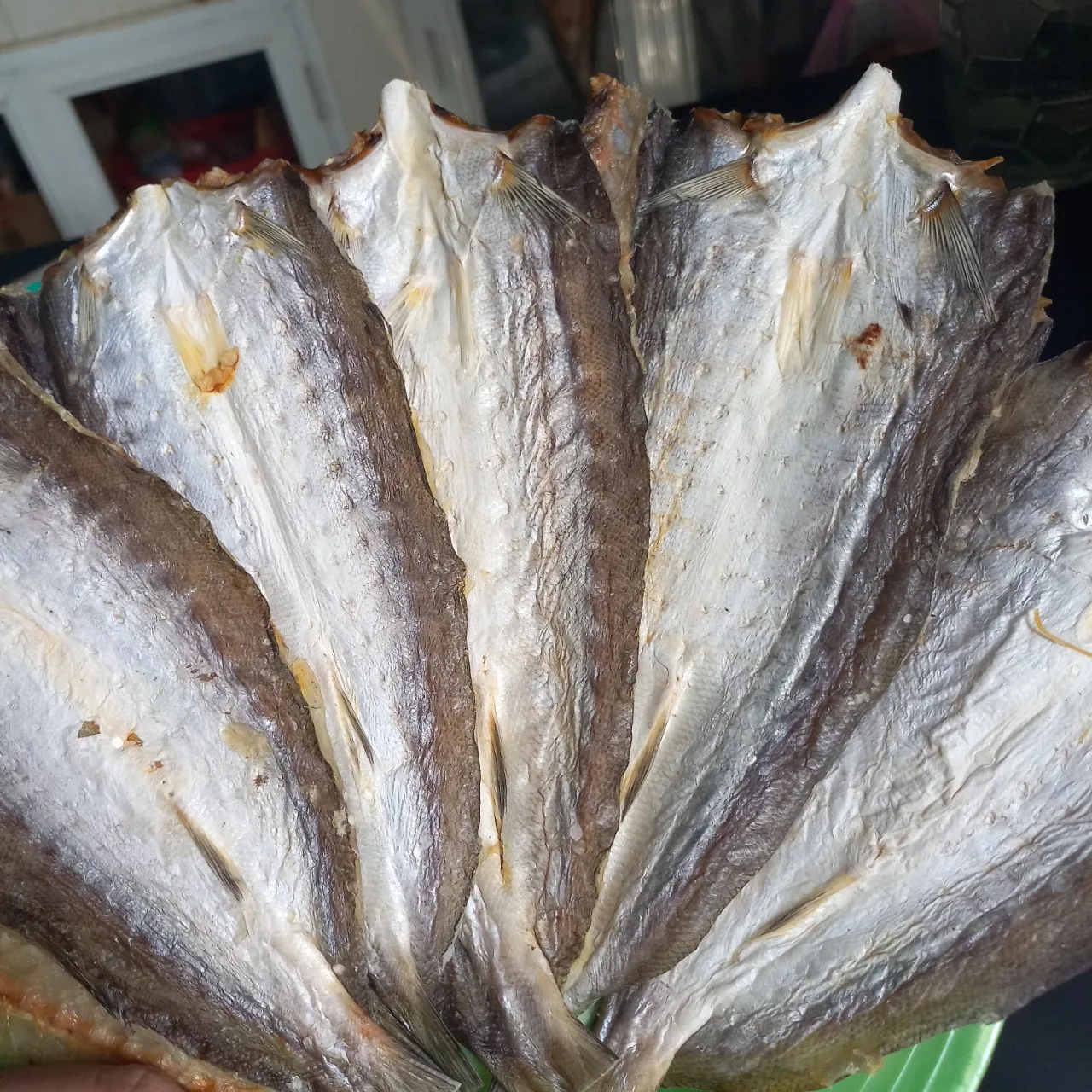 Best Selling Product - Dried Barracuda Fish from Vietnam