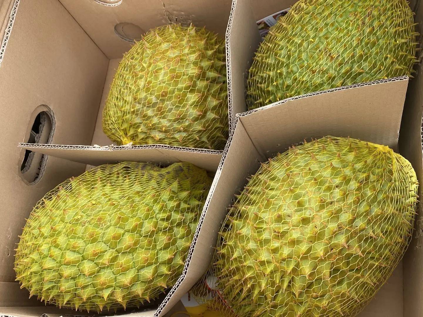 High Quality Frozen Peeled Durian Fast Delivery Ms Sophie - Buy Frozen ...