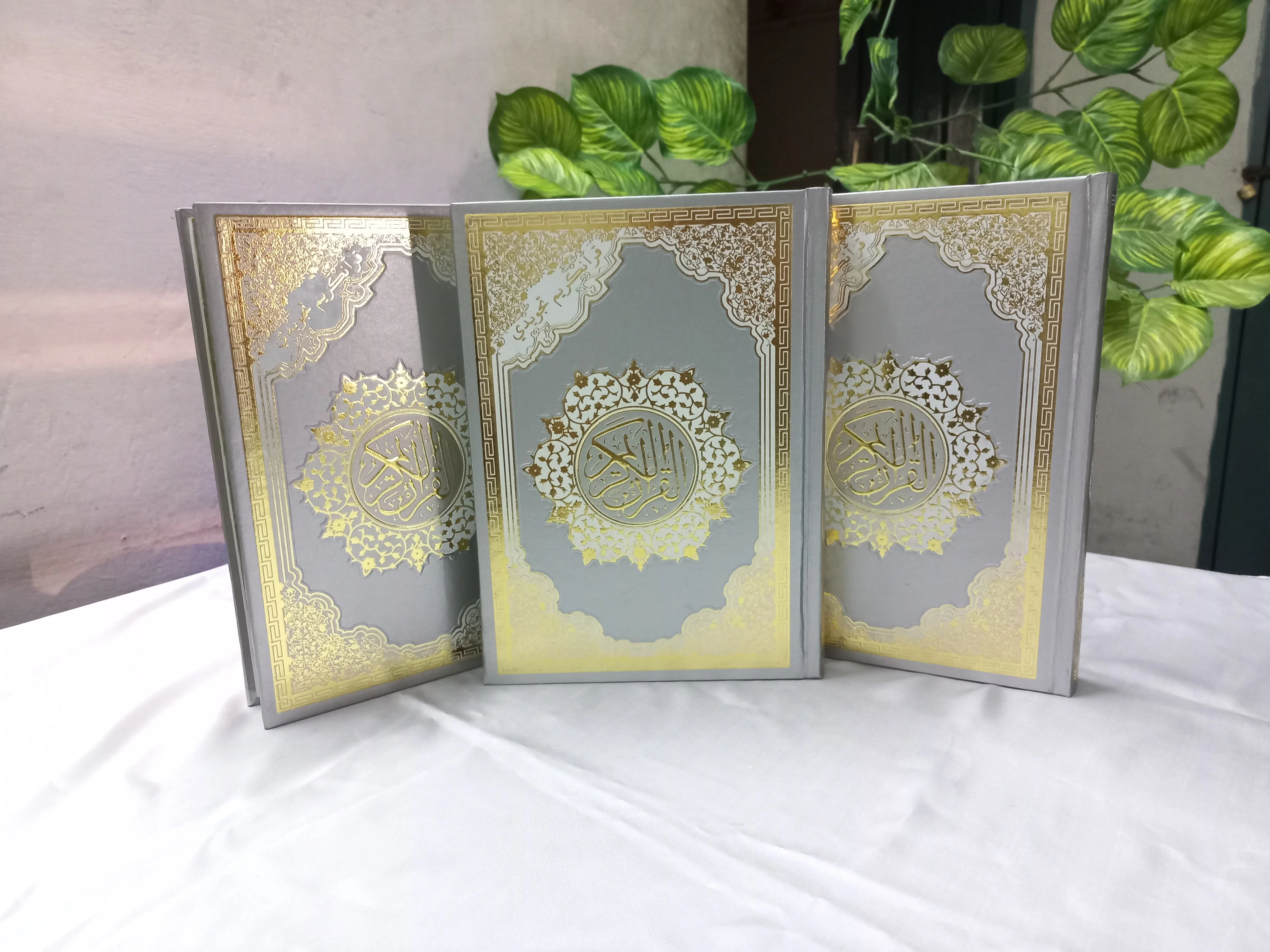 Holy Quran Book Printing For Read Pen In Pakistan - Buy Reading Pen ...