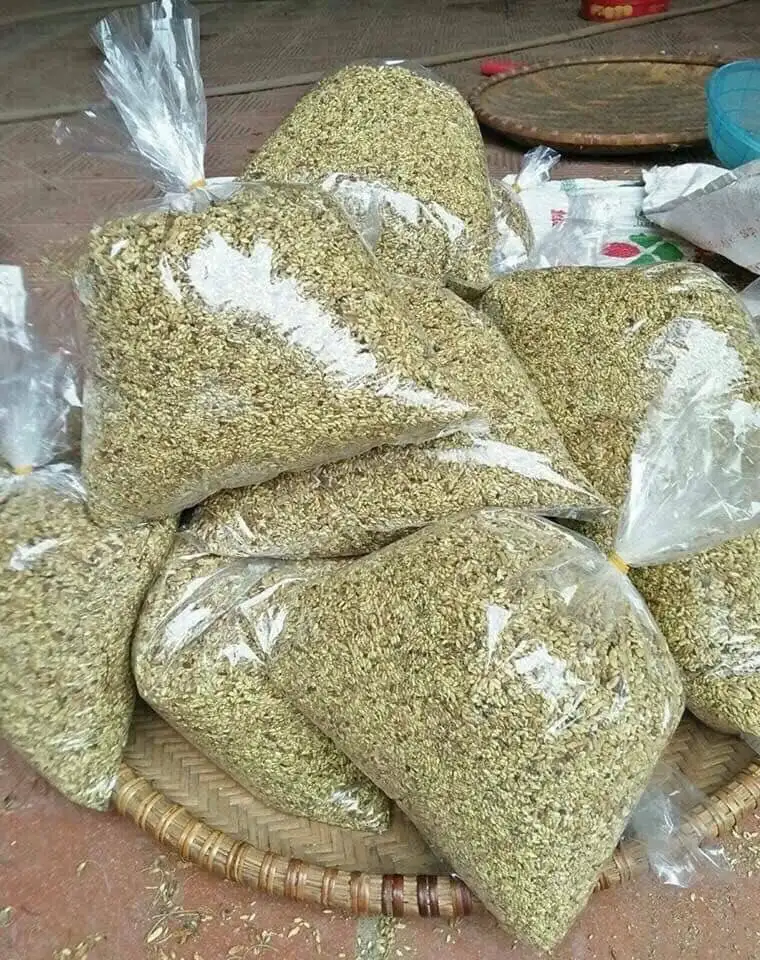 Good Price Dried Sophora Japonica Japanese Pagoda Styphnolobium ...