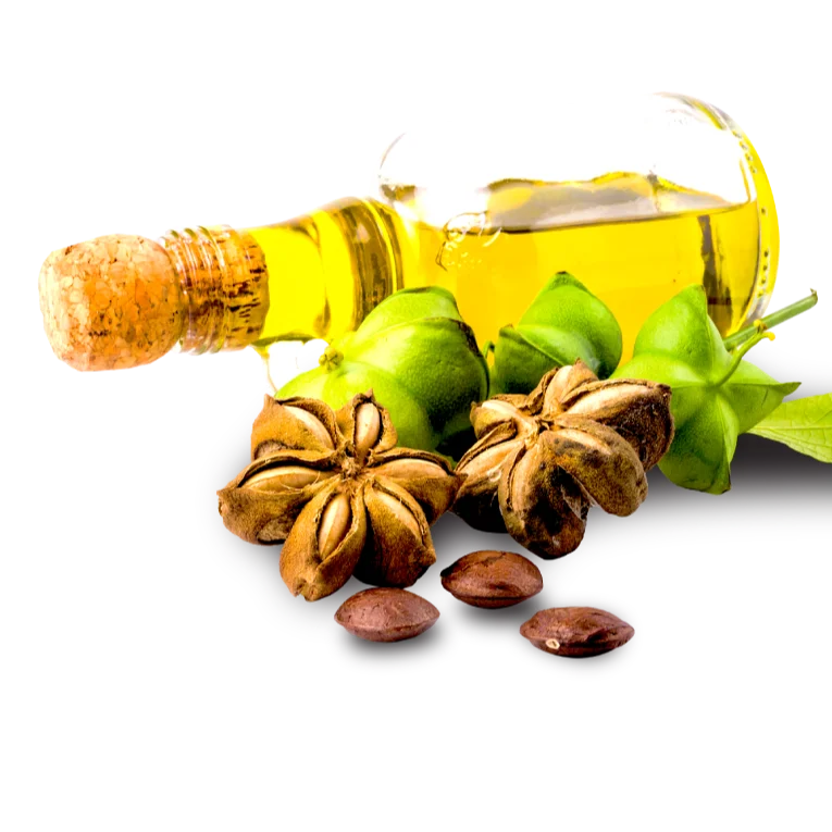 Sacha Inchi Oil From Vietnam - Buy Sacha Inchi Oil,Pure Sacha Inchi Oil ...