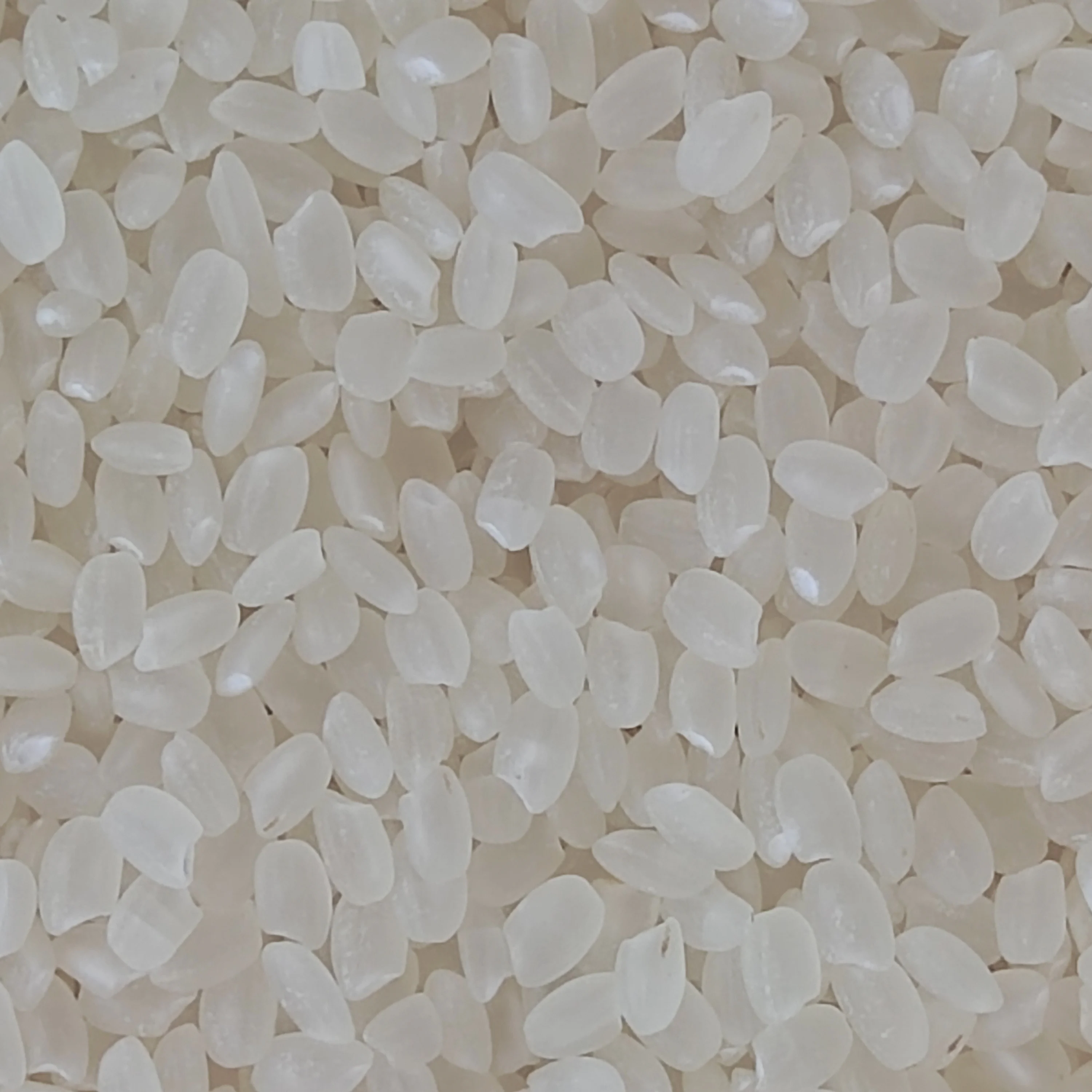 Vietnamese Rice Japonica Sushi Round Short Grain Rice Vilaconic Premium ...