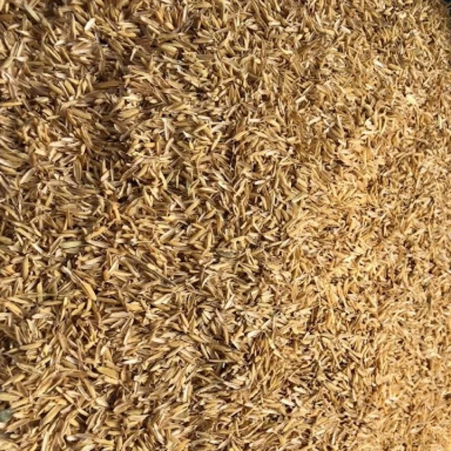 Premium Quality Rice Husk From Vietnam Suppliers at Affordable Price ...