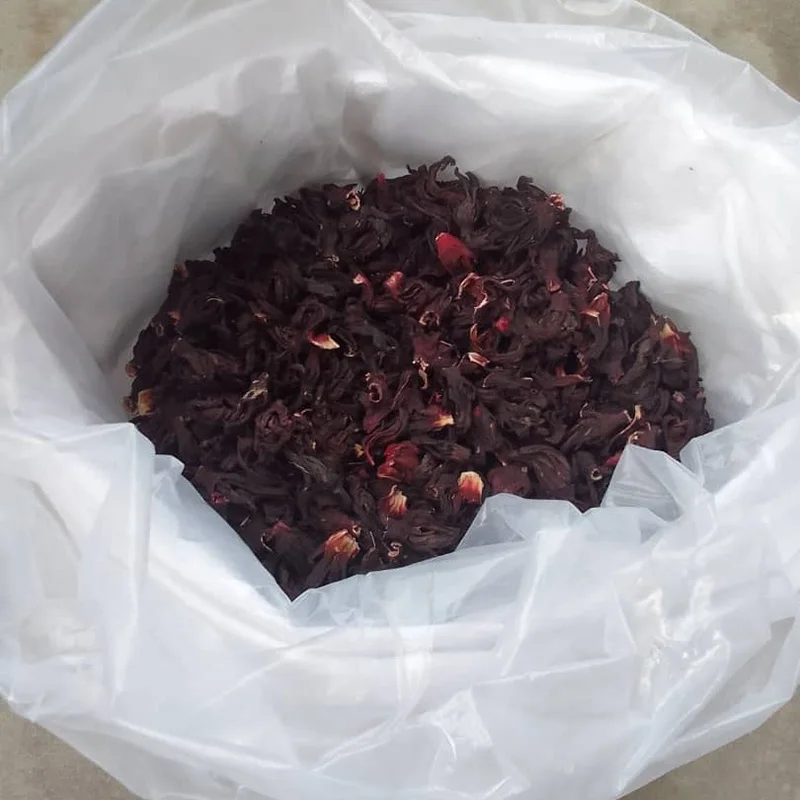 Wholesale Hibiscus Flower From West Africa Hibiscus Bissap Flower From ...