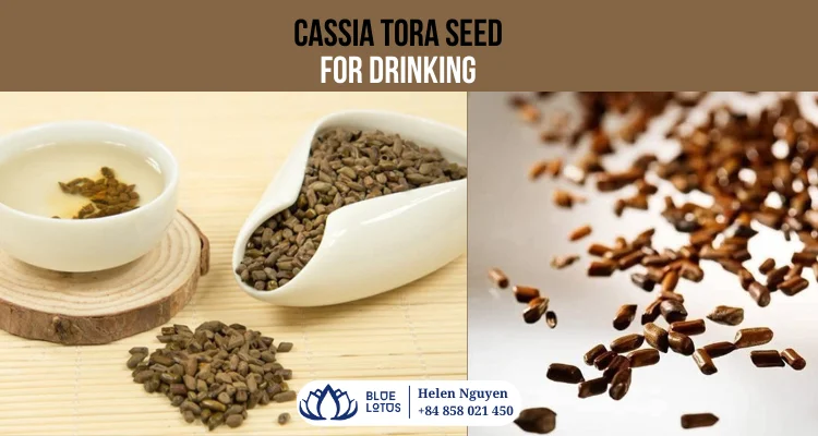 Cassia Tori Seed - High Quality from Blue Lotus Vietnam