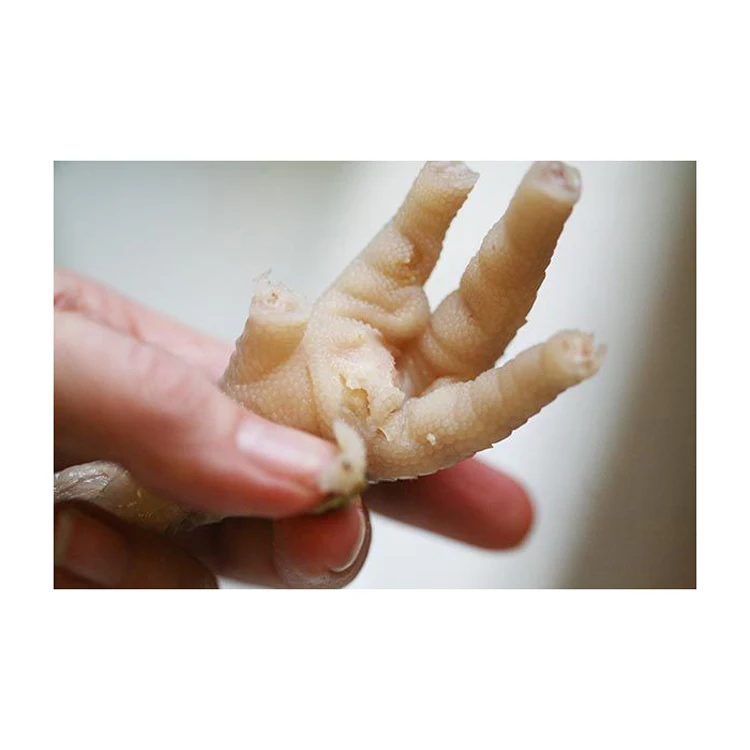 Bulk Frozen Whole Chicken Feet Paws with Wing Body Fat Halal Certified ...