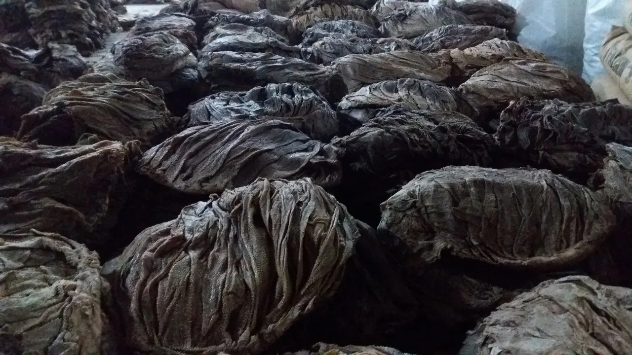 Salted And Unsalted Beef Stripe Omasum - Buy Beef Tripe Beef Omasum ...