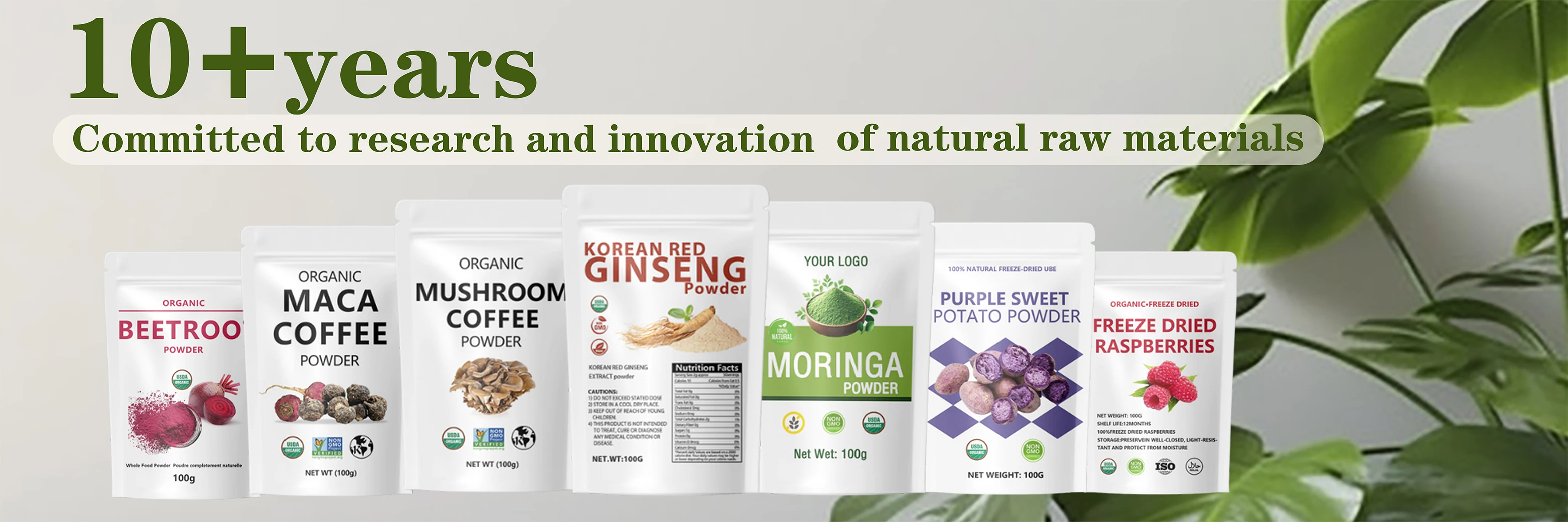 High Quality Kigelia Africana Fruit Extract Powder