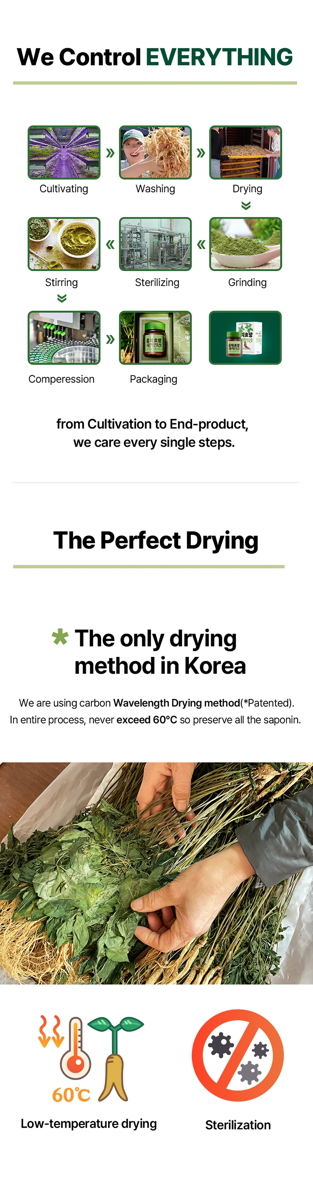 Nutritional Supplement Red Korean Ginseng Extract Tablets Pills Tablet ...