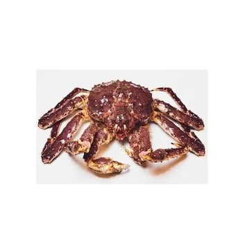 Fresh Red King Crab Fresh Frozen Live Red King Crabs Soft Shell Crabs ...