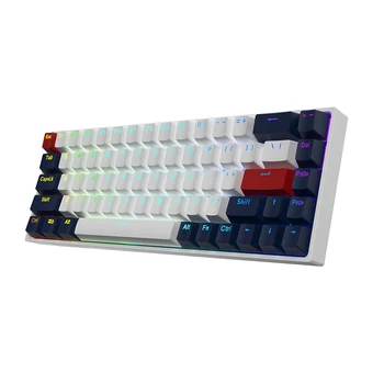 Mini Mechanical Keyboard 60% Ergonomic Design Small Size Design,Compact ...