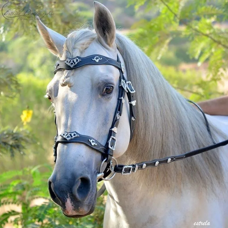 Baroque Horse Bridle Set - Durable, Adjustable, Customizable