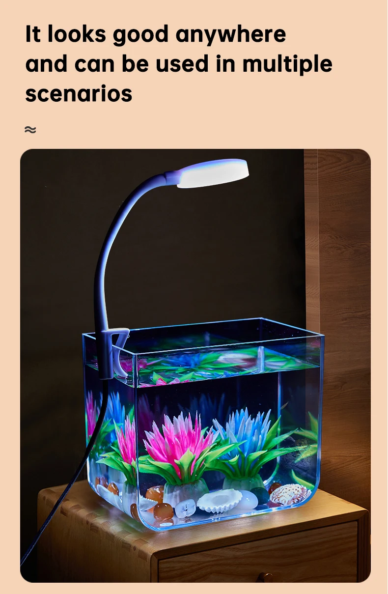 New Arrival DIY Transparent Betta Fish Plastic Tank with Filter ...