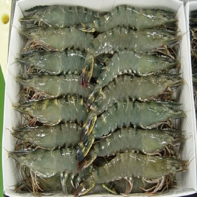 Frozen Black Tiger Shrimp Whole Shrimp - Buy Whole Skinless Shrimp ...