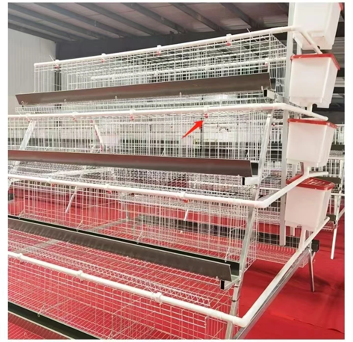 A Type Layer Chicken Cage Multi-layer Ladder Egg Layers Chicken Cages ...