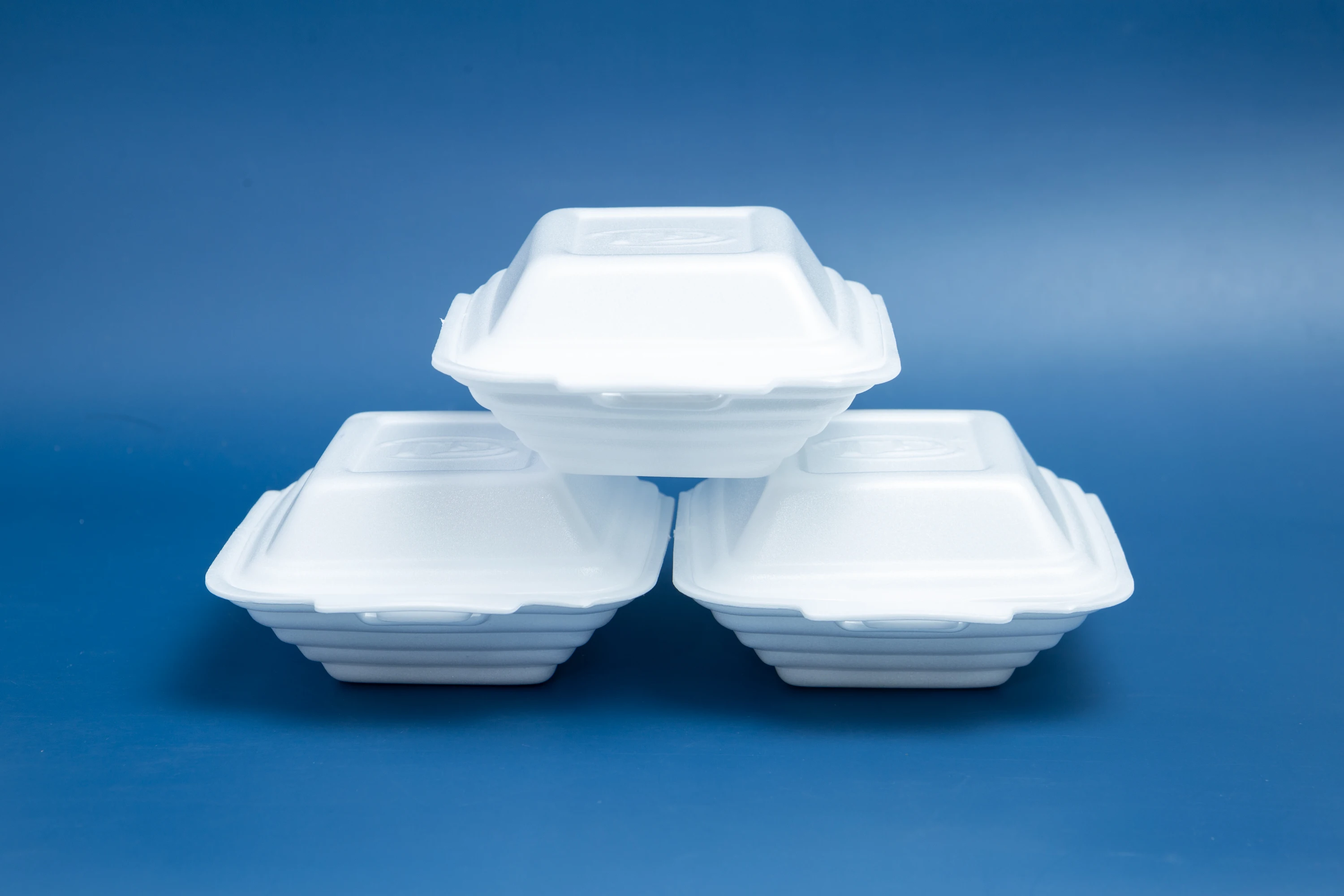 1-2 Compartment Food Container Foam Eco Clamshell Container Lunch Box ...