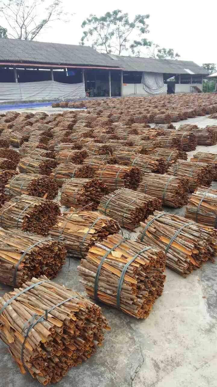 High-Quality Vietnamese Split Cinnamon/Darchin Split From Sustainable ...