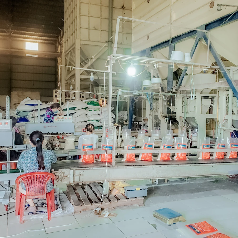 Fresh Long Grain White Rice 100% Broken Glutinous Rice Variety High ...