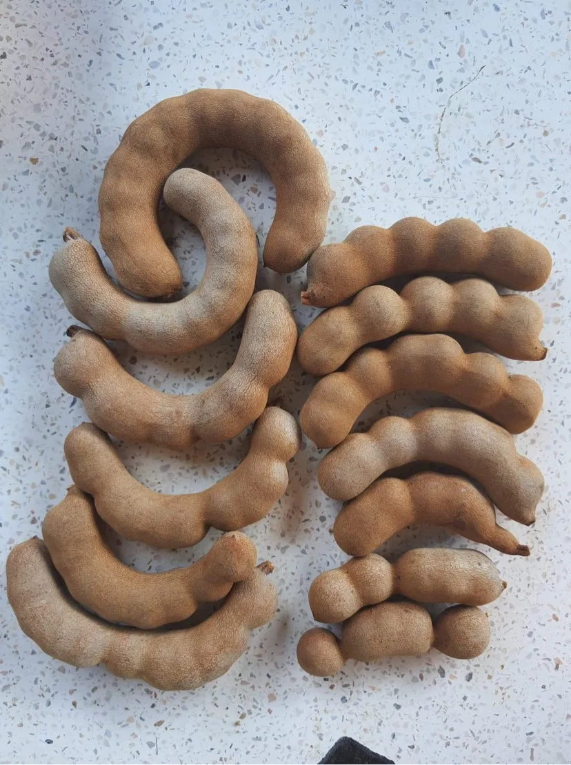 Premium Grade Sweet Tamarind From Thailand. Sweet Natural Direct From ...
