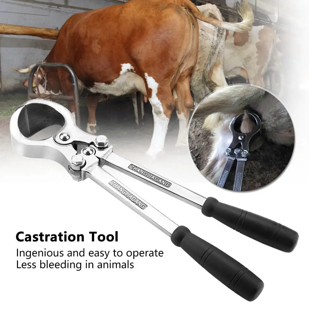 Mahersi 19\" Emasculation Castration Veterinary Syringe Needle - Buy ...