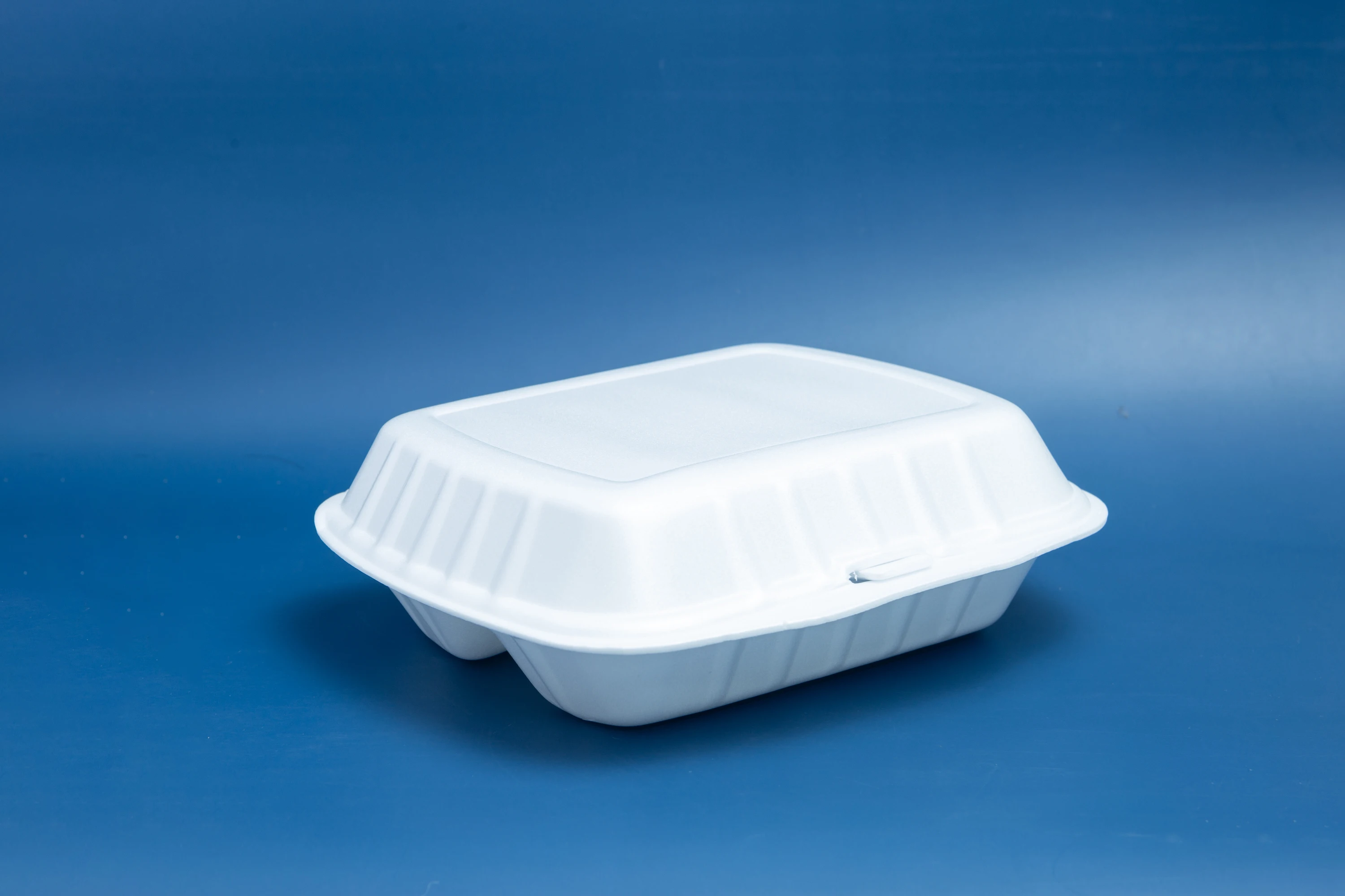 Three Compartments Disposable Ps Foam Food Container High Quality For Food/ Fruit Japan Standard ...