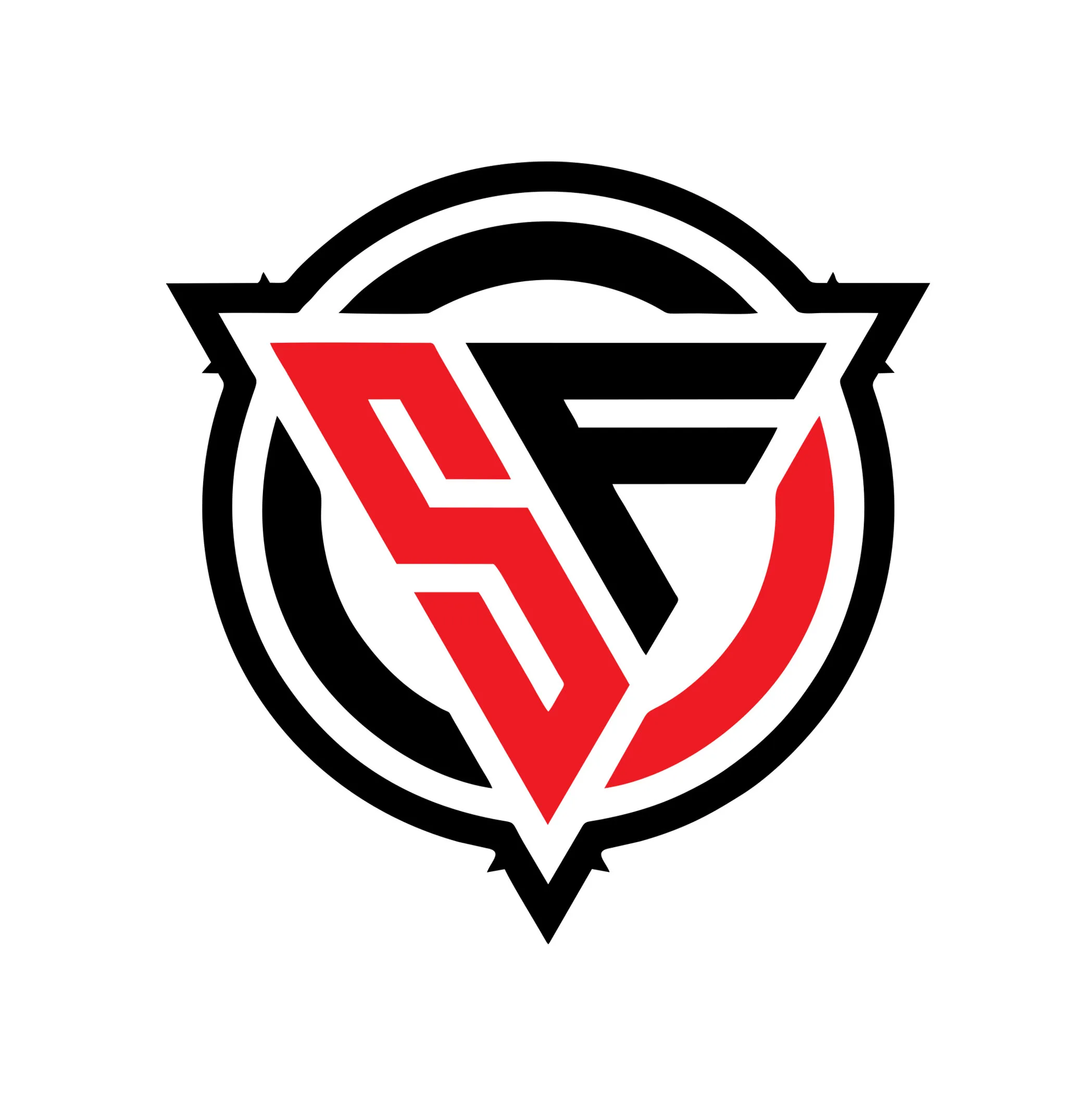 Company Overview - SWIFT FUSION
