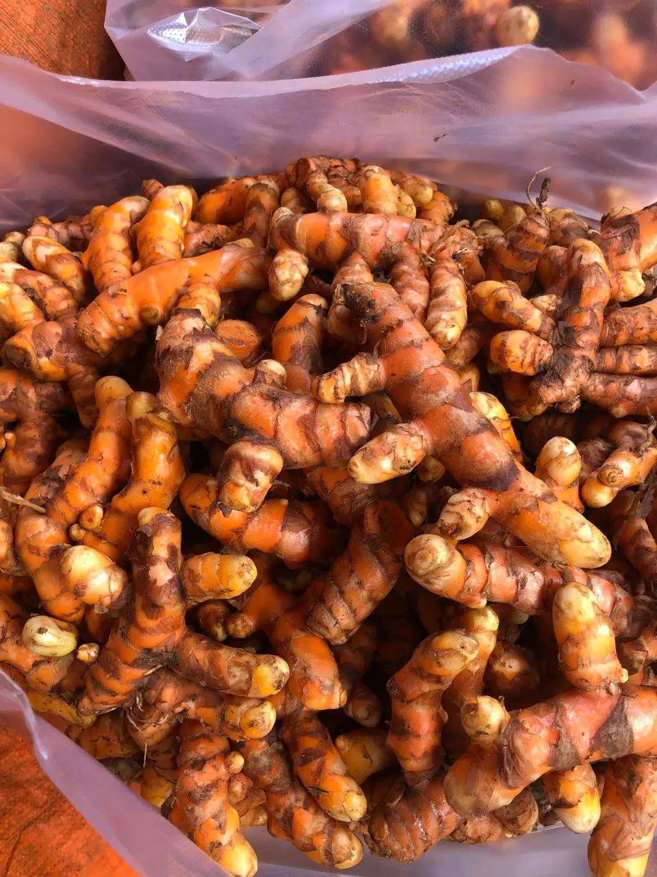 Vietnam Fresh Turmeric From Vietnam New Crop 2022 - Buy Fresh Certified ...