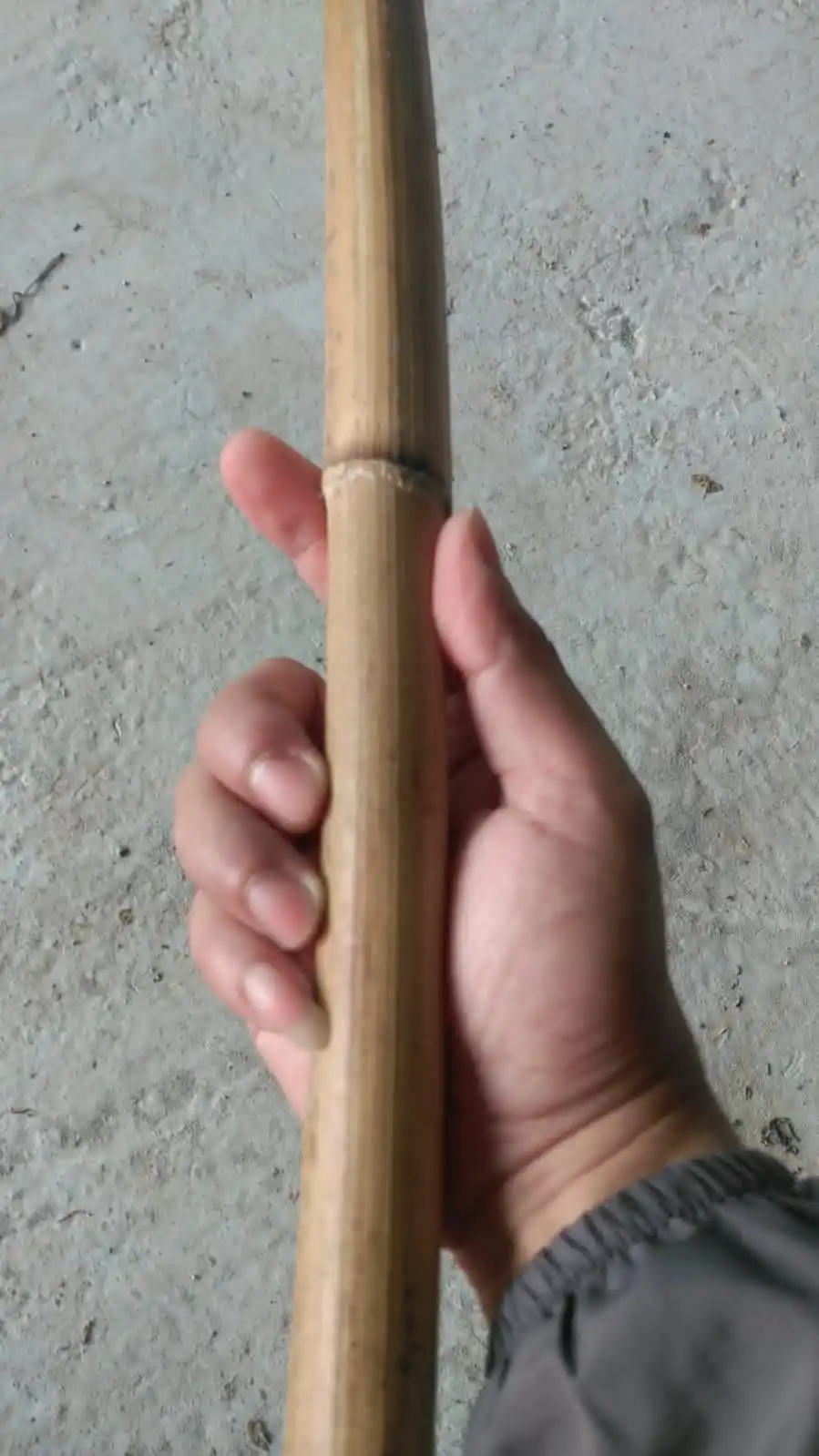 Raw Manau Rattan Bamboo Cane Rattan Poles Wholesale Straight Rattan ...