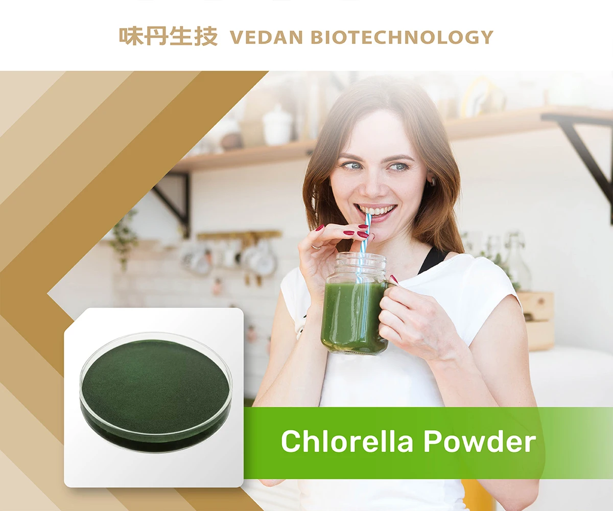 Chlorella Sorokiniana - Buy Chlorella Sorokiniana,Chlorella Sorokiniana ...