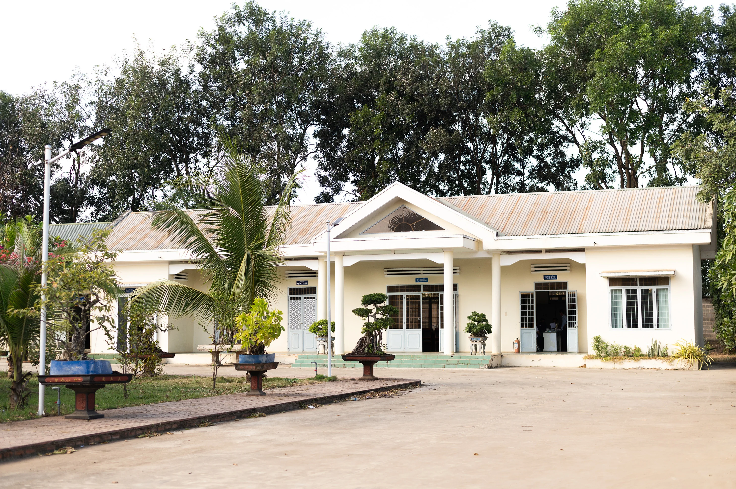 Vietnam Manufacturer Size 34 Eco-friendly Rubber Thread/latex Thread ...