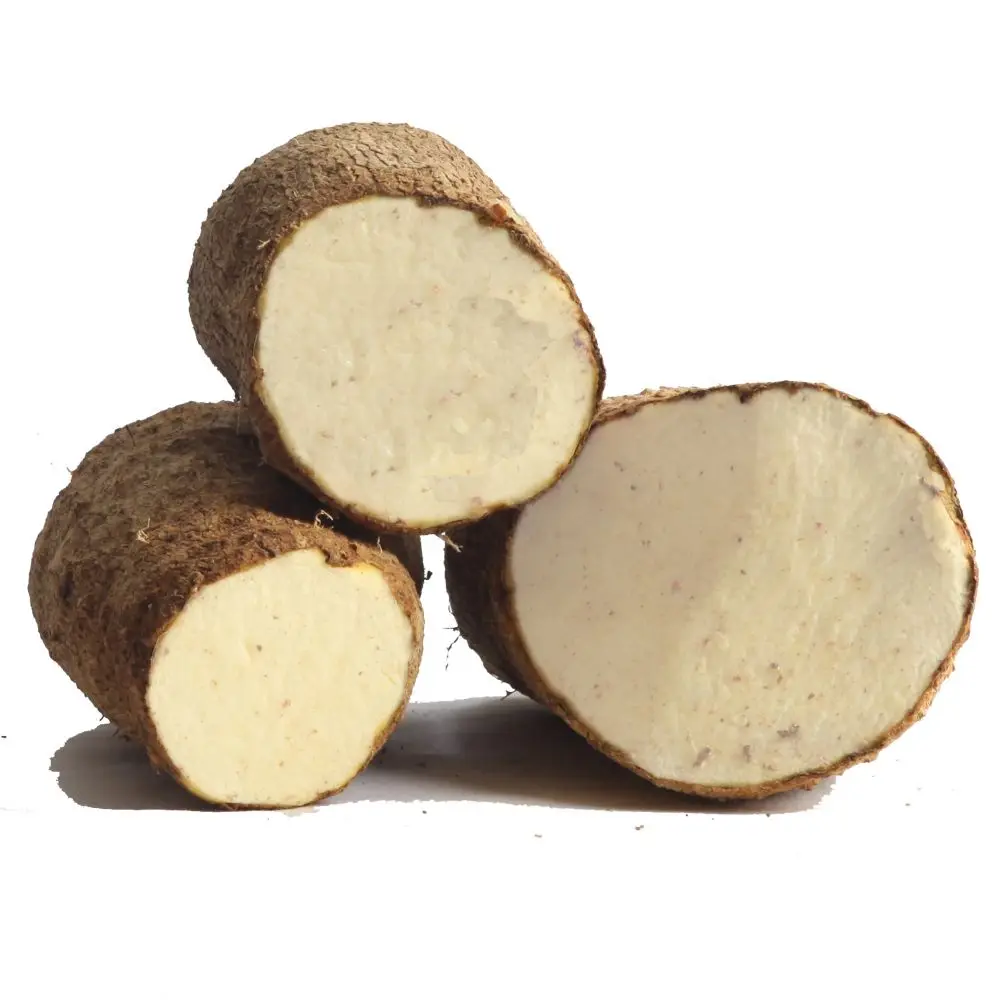 Fresh Natural White Yams For Sale - Buy Fresh Yam,New Delicious And ...
