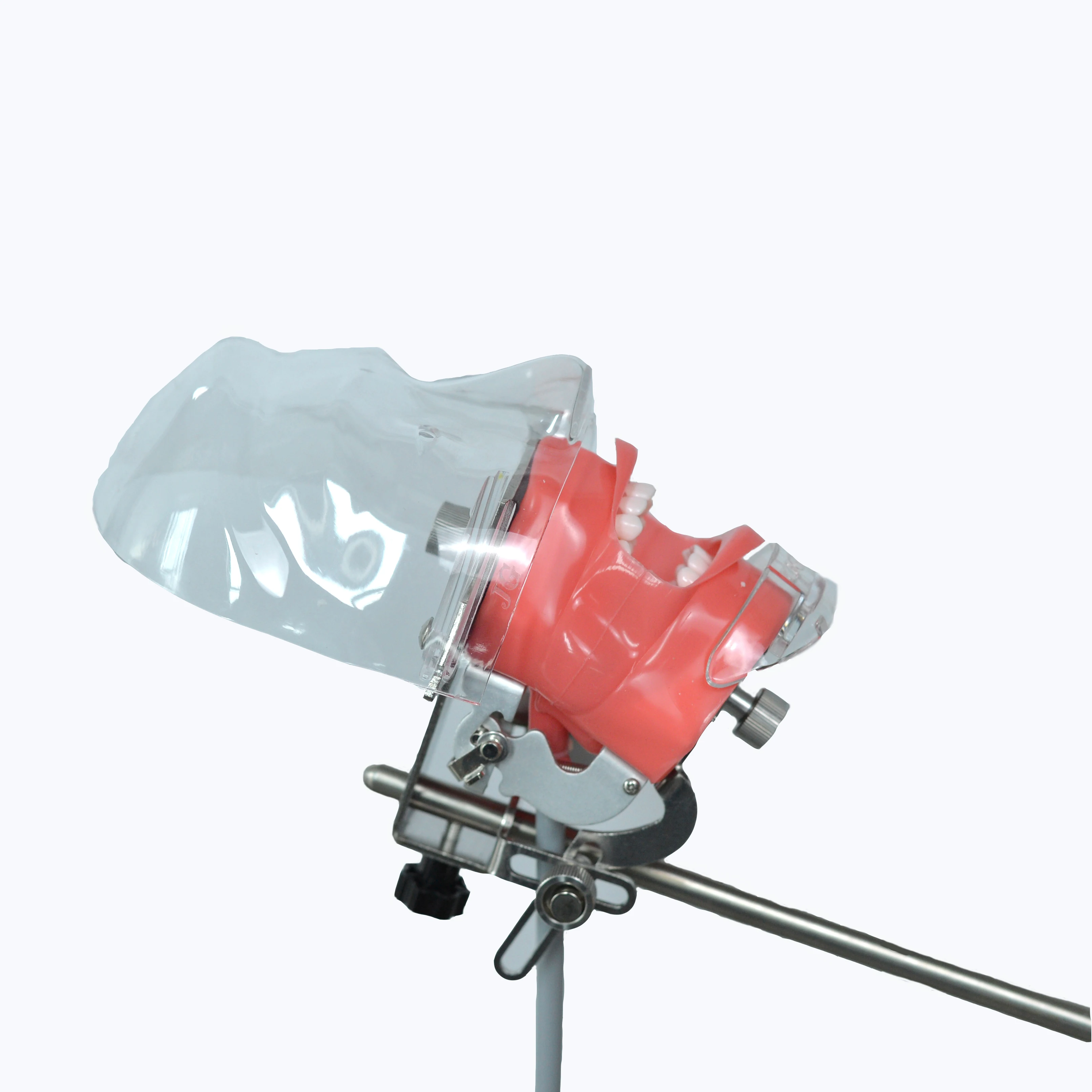 Phantom Head Simulator Dental Manikin Phantom Head For Training ...