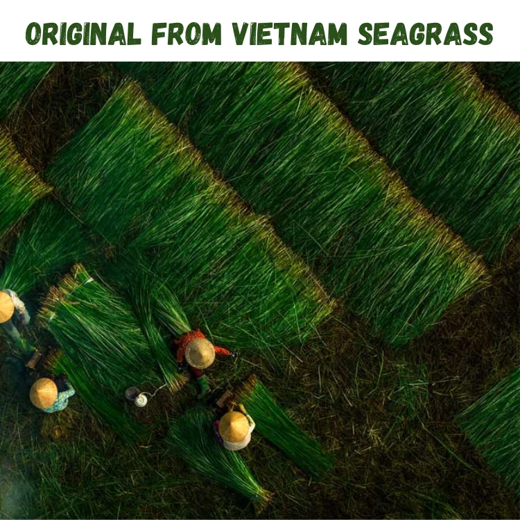 Eco-friendly Seagrass Handfan Custom Color Natural Handwoven Segrass ...