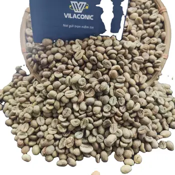 Vietnamese Coffee Factory Raw Coffee Bean High Quality Beans Wholesale ...