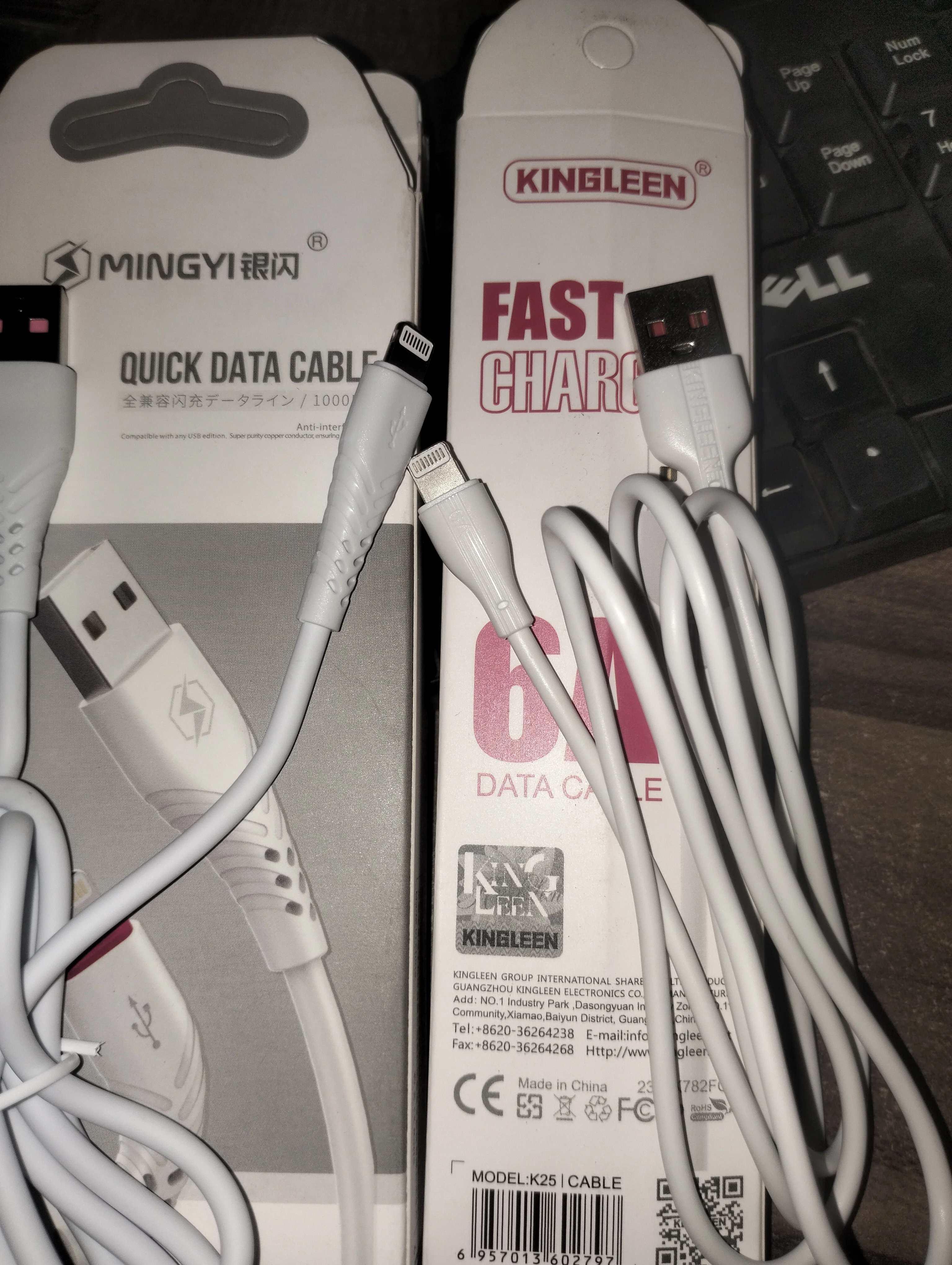 Company Overview - Guangzhou Kingleen Electronics Co., Ltd.