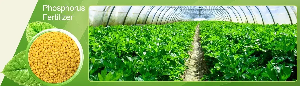 Mono Ammonium Phosphate Map Fertilizantes Dap 18 46 0 Soluble En Agua ...