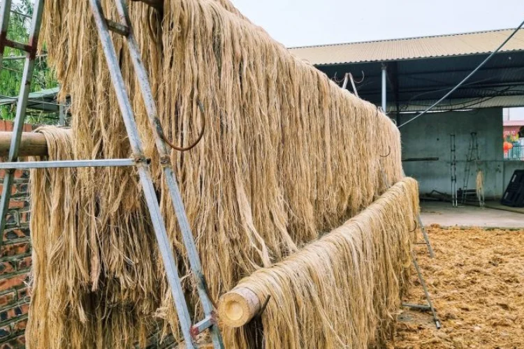 Best Price 2024 Banana Fiber Banana Fabric 100% Natural From Blue Lotus ...