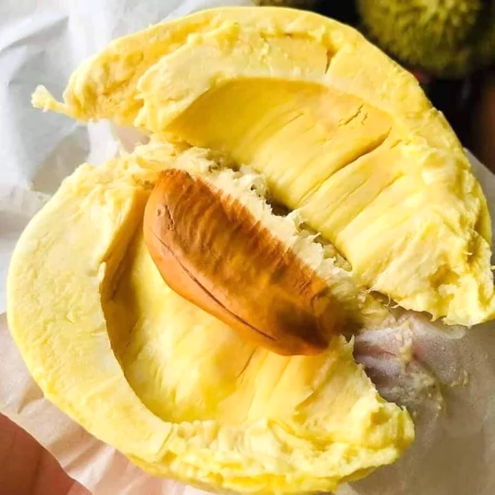 Best Quality Durian Fruit 2024 - Frozen Durian At Competitive Price For ...