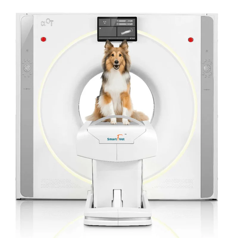 Veterinary Ct Scan Computed Tomography Scanning Machine - Buy ...
