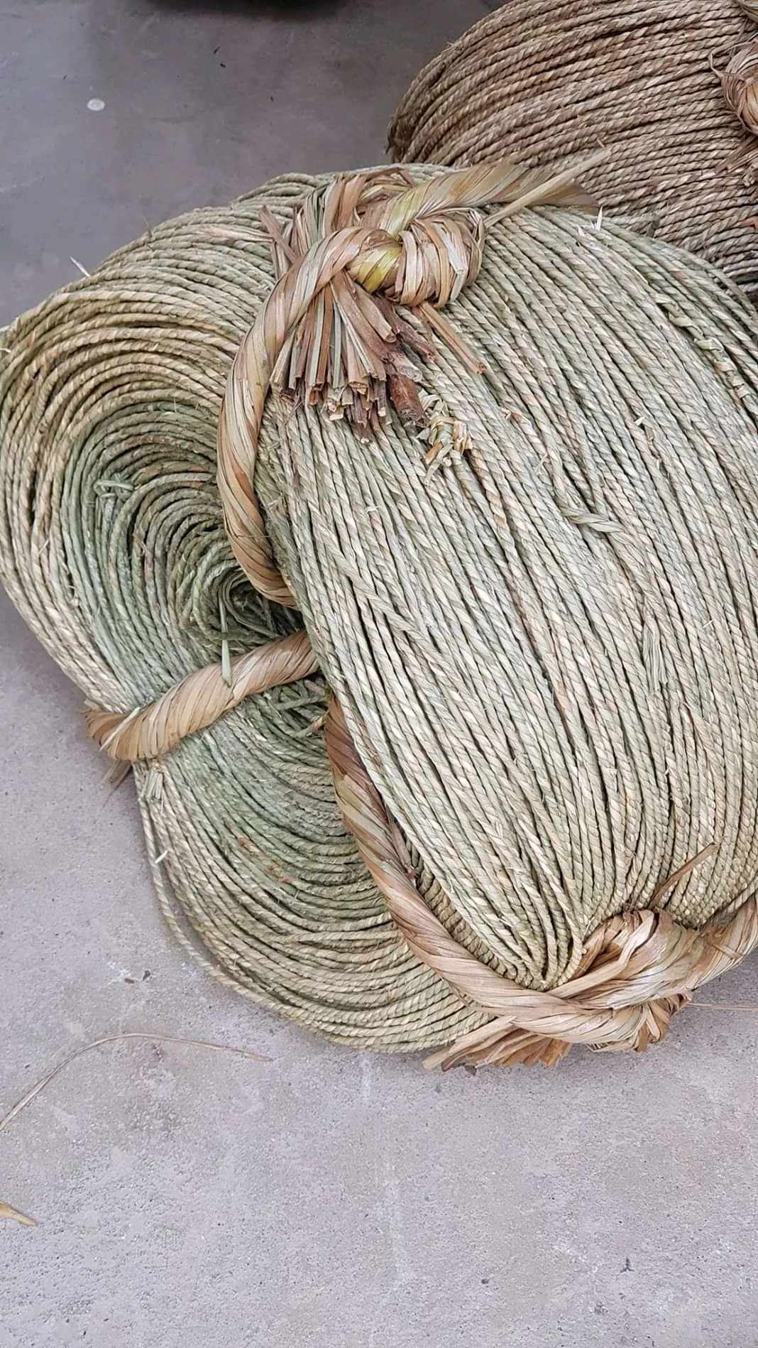 Natural Seagrass Ropes From Vigifarm For Wholesalers Vietnam Natural ...