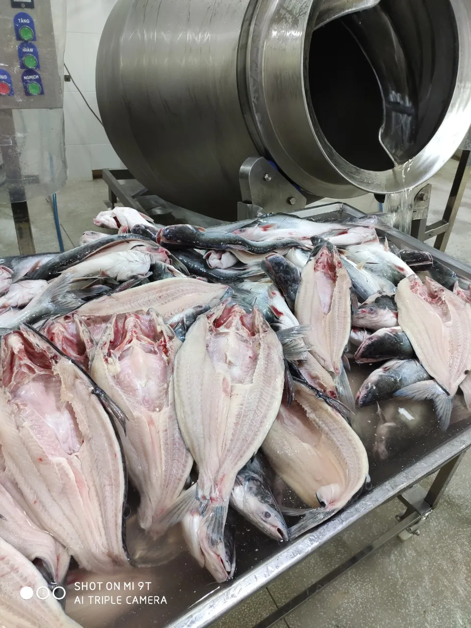 Frozen Pangasius Basa Well Trimmed Fillet For China Market 400gr Up Iqf Method For Supermarket ...